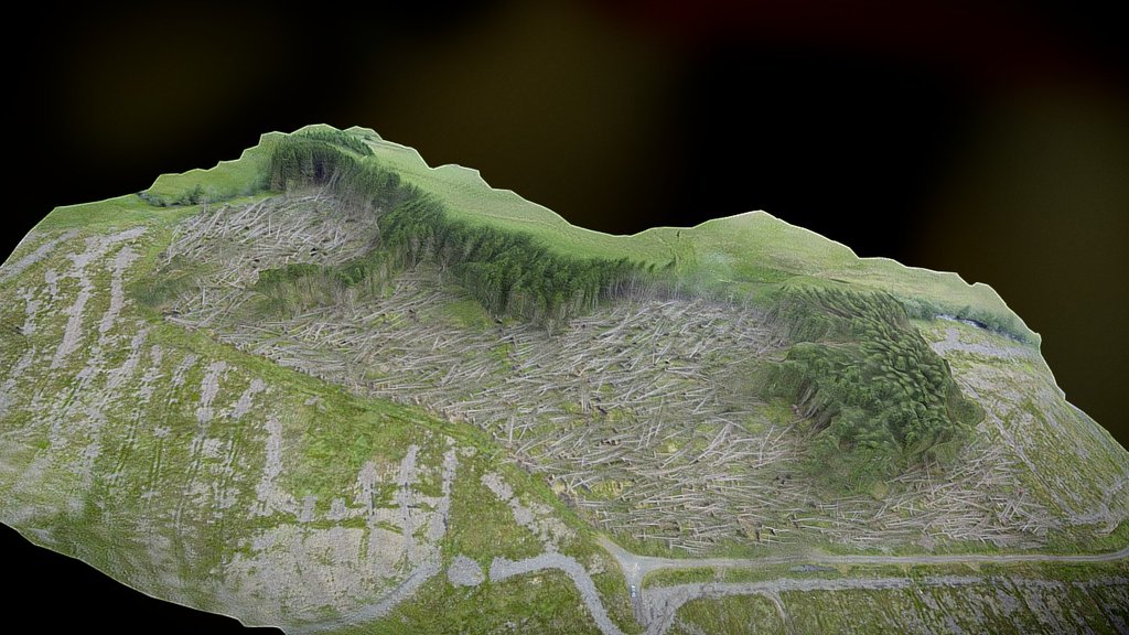 Byrness WB - 3D model by Forest Inventory (@forestinventory) [08bdb0f ...