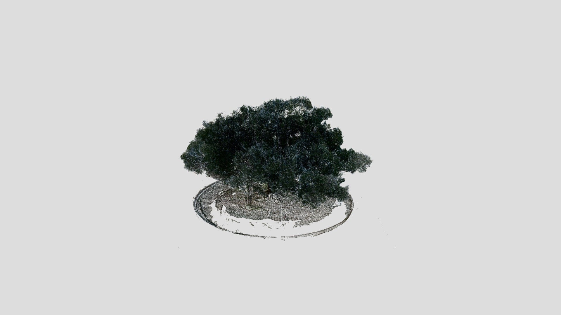 Point Cloud Tree - 3D model by gary79 [08bfcdd] - Sketchfab