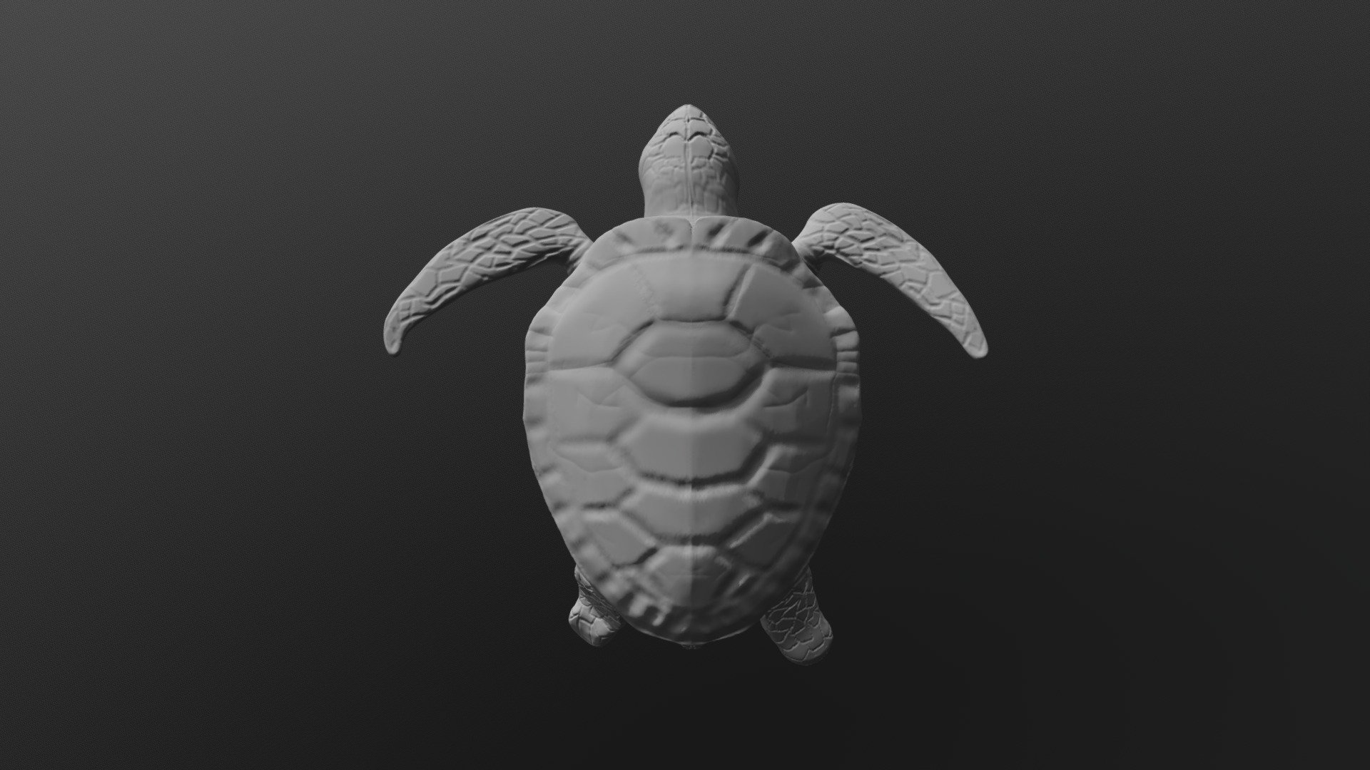 Turtle Dude - 3D model by ameelas [08c3d48] - Sketchfab
