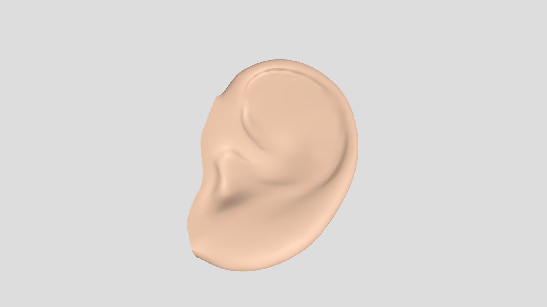 Oreja - Download Free 3D model by mattmax [08c543c] - Sketchfab