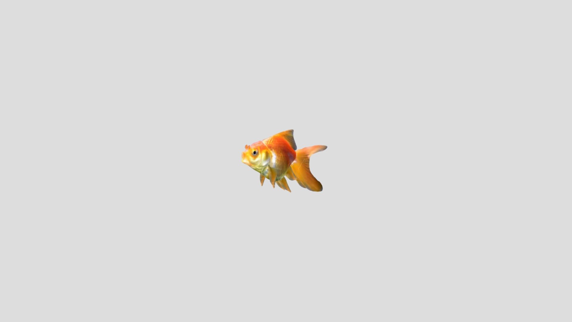 Goldfish - Download Free 3D model by Whalesgaming [08c5c7e] - Sketchfab