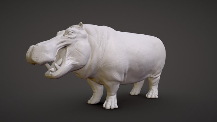 Begemot 3D models - Sketchfab