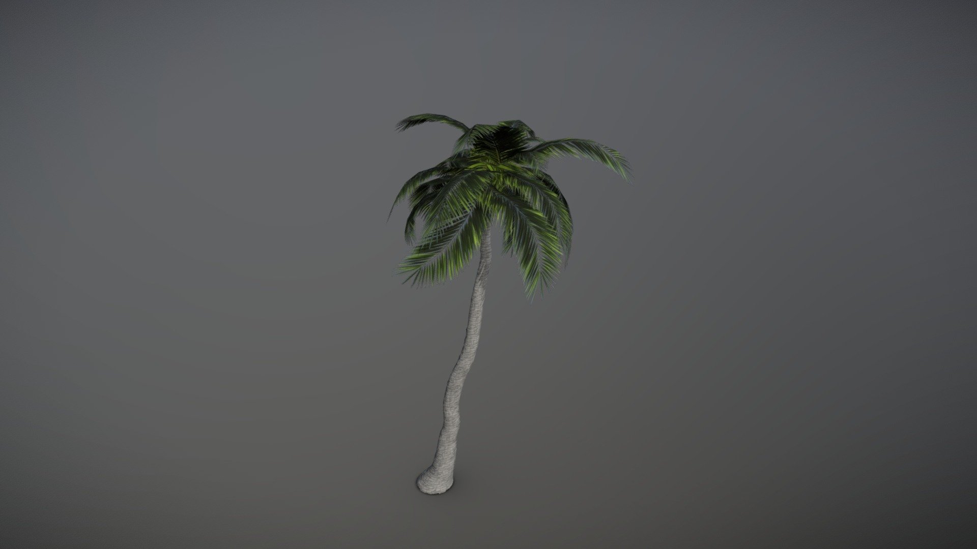 Tropical Palm - Download Free 3D model by Šimon Ustal (@simonustal ...