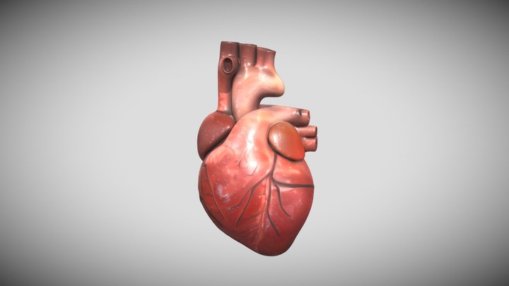 Meat 3D models - Sketchfab