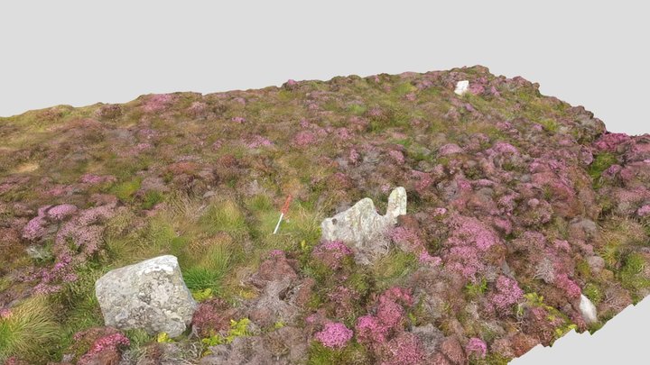 Stone_circle 3D models - Sketchfab