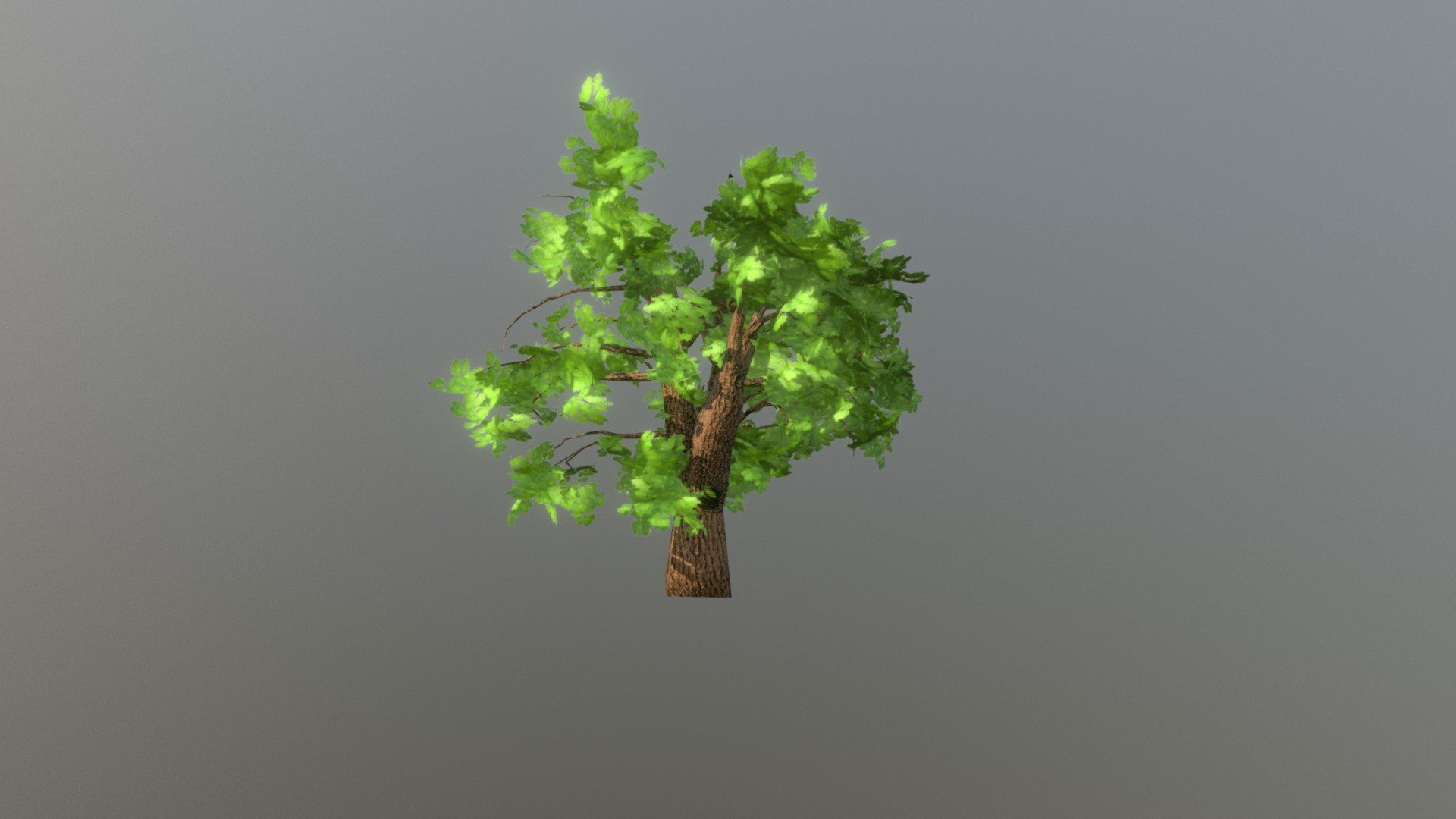 Oak Tree - Download Free 3D model by Asia Matusik (@asiam) [08d5489 ...