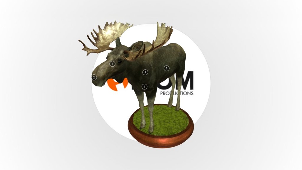 Moose - 3D model by The Learning Network (@TheLearningNetwork) [08e1442] - Sketchfab