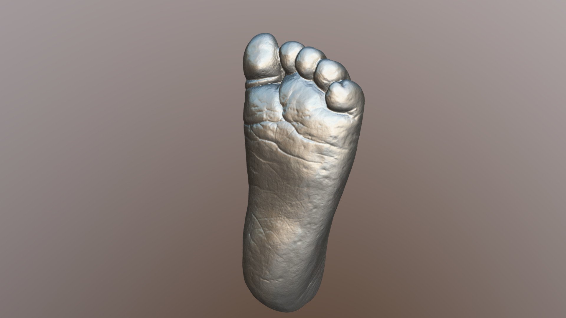 Cooper Lawson Left Foot Baby Cast - 3D model by DittoLabs [08e60d1 ...