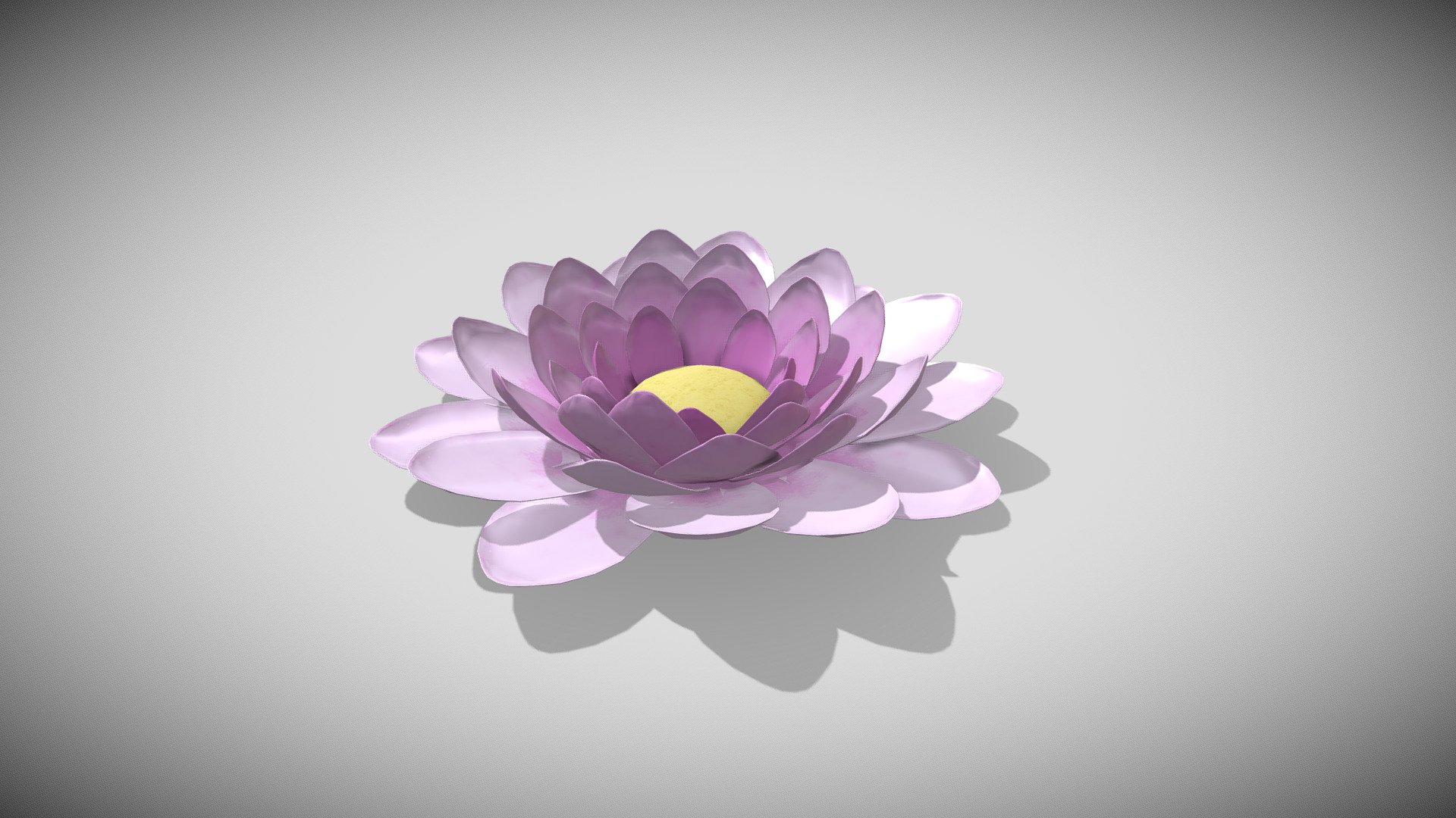 Lily Pad Flouwer - 3D model by Indy (@IndyKortenhoeven) [08ea6f6 ...