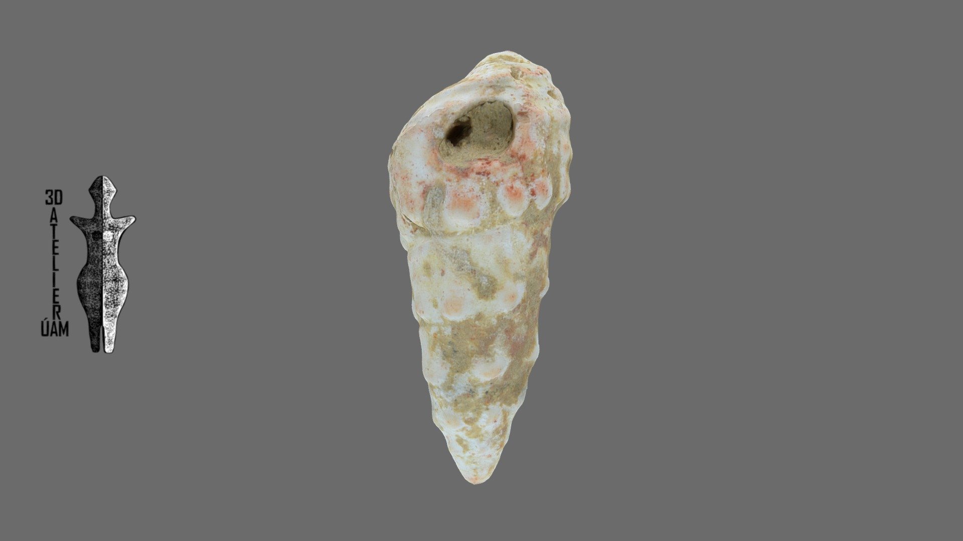 Shell artefact S2 2015 - 3D model by 3D atelier ÚAM (@vojtanosek ...