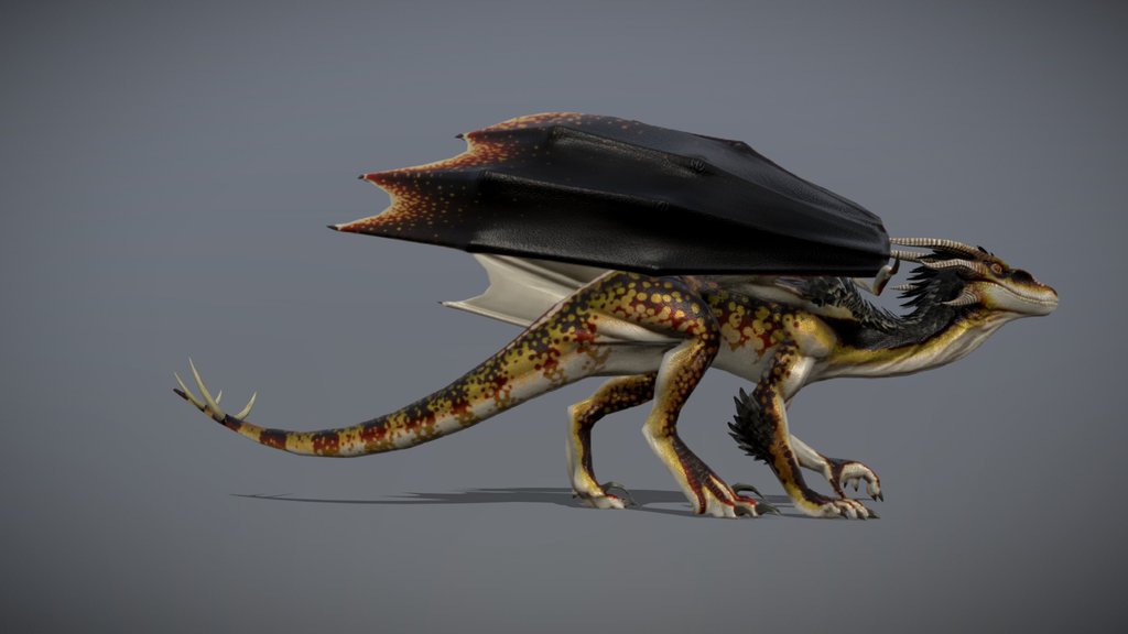 Dragon - A 3D model collection by FridaFlame - Sketchfab