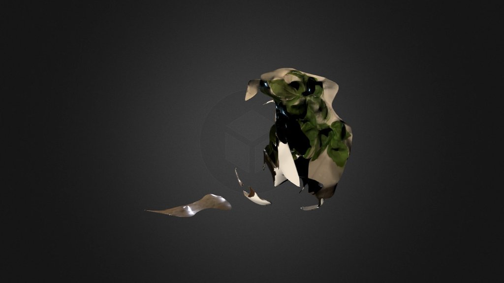 Basil - Download Free 3D model by Eleni Patera (@patera.e) [08ffb18 ...