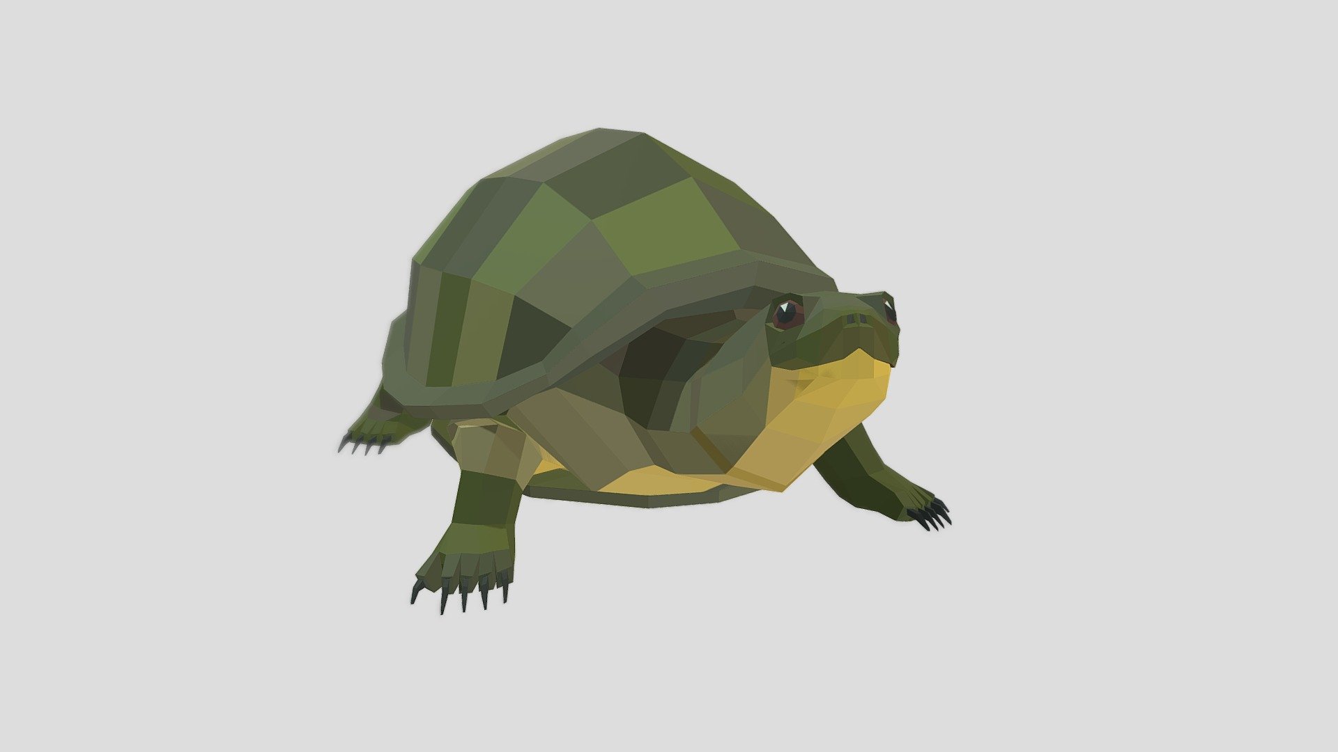 Turtle | Truth | Debwewin - Download Free 3D model by fluffubun ...