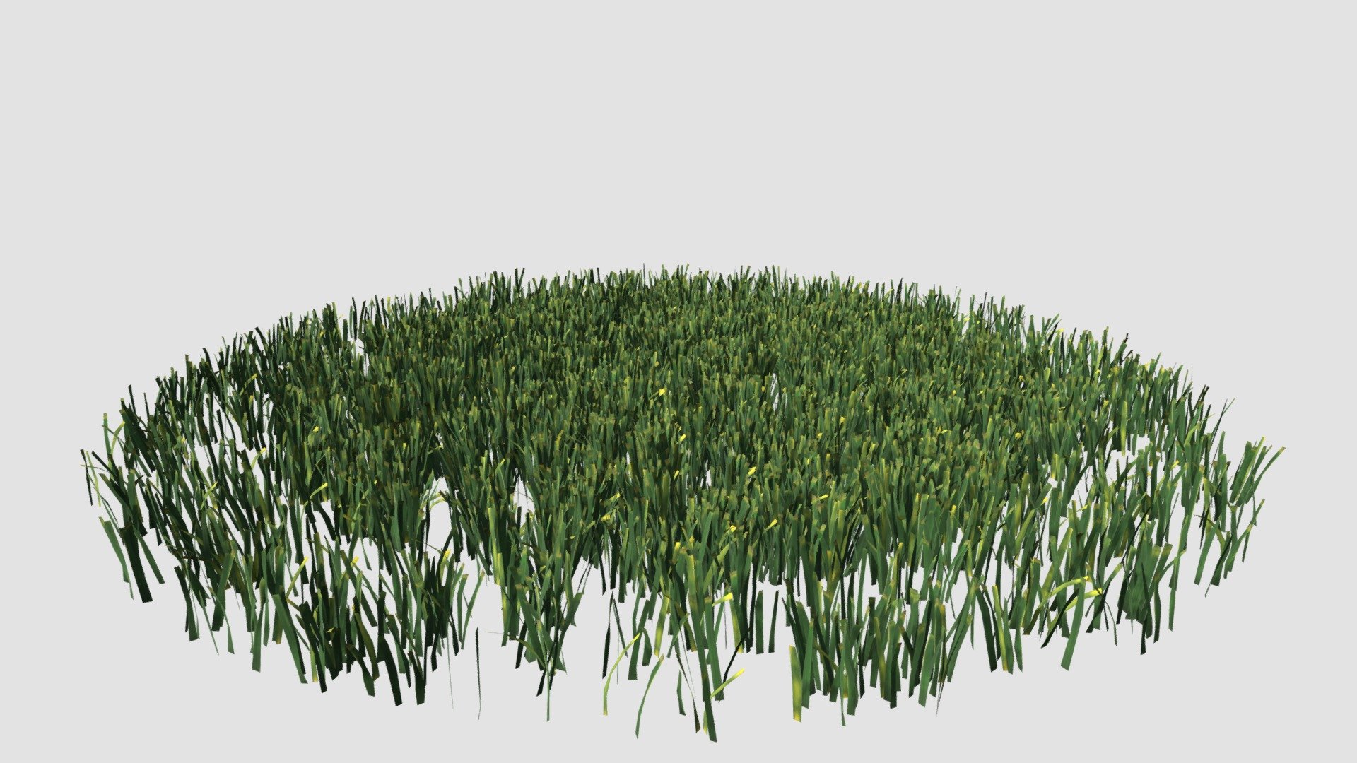 simple grass large - Buy Royalty Free 3D model by Evermotion [0906b67 ...