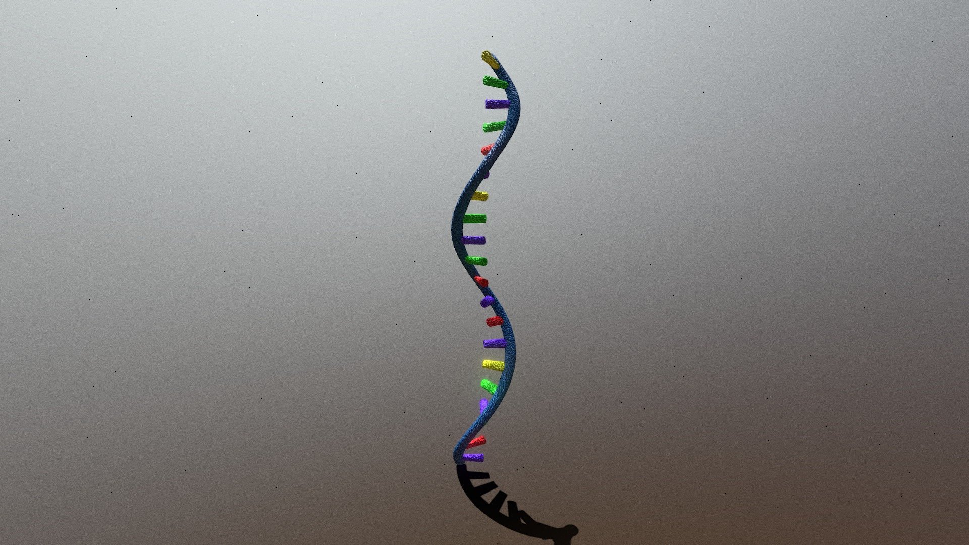 RNA - GROUP 4 - 3D model by jashiru22 [09098f2] - Sketchfab