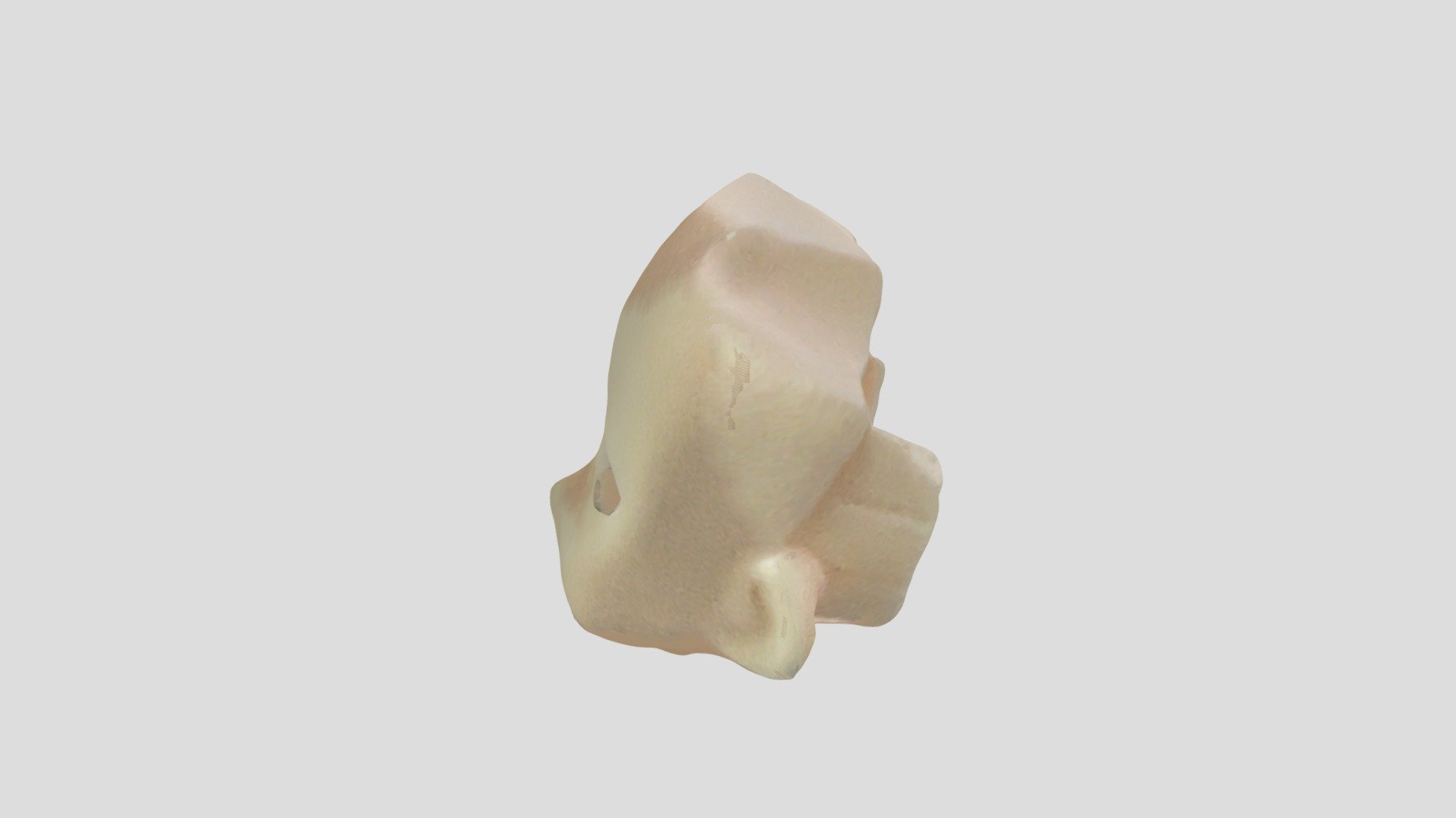顶视图 - Download Free 3D model by eagle_jcy [090a302] - Sketchfab