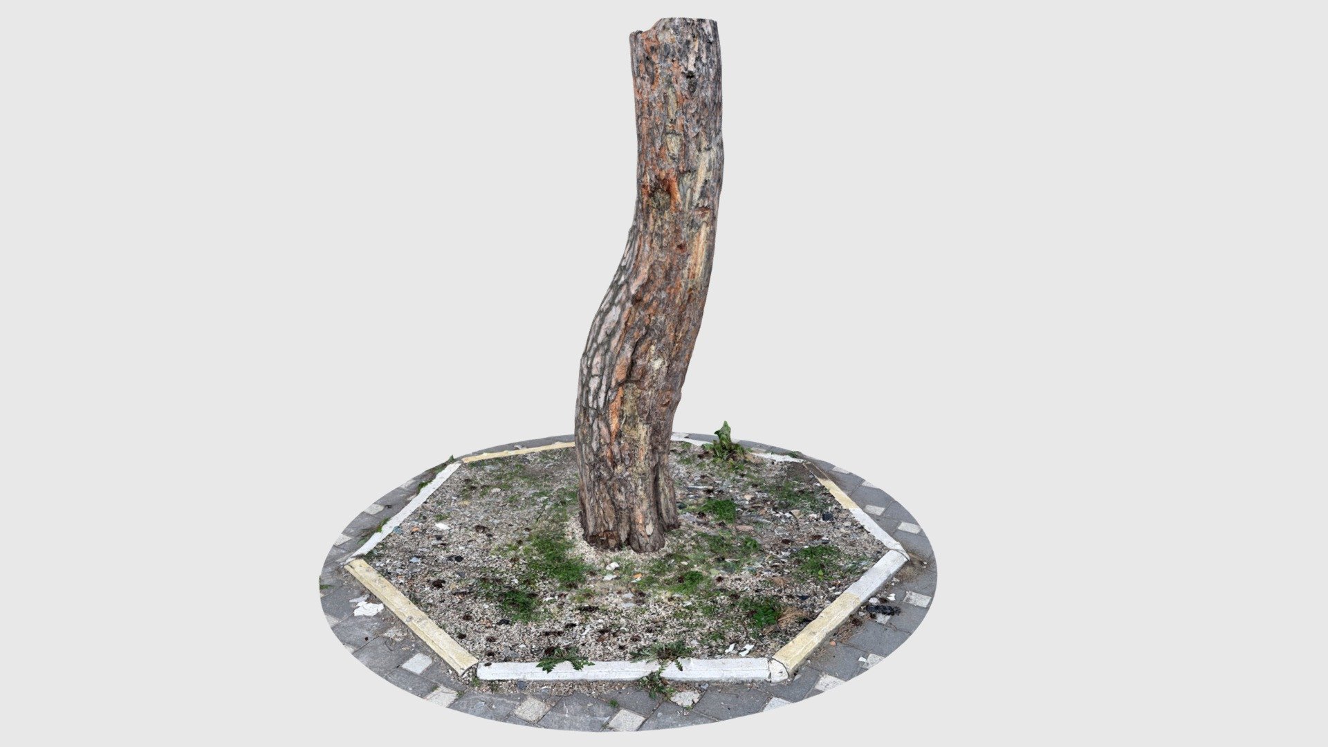 Tree trunk 03 - Download Free 3D model by yaro.pro [090d7fd] - Sketchfab