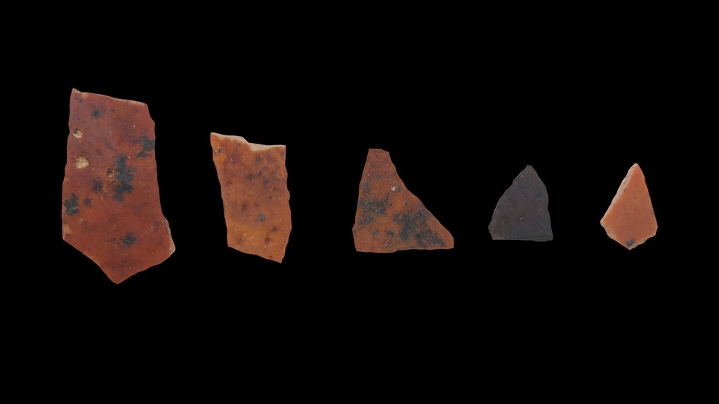 Hominin and Human Evolution - A 3D model collection by emilybeverly ...