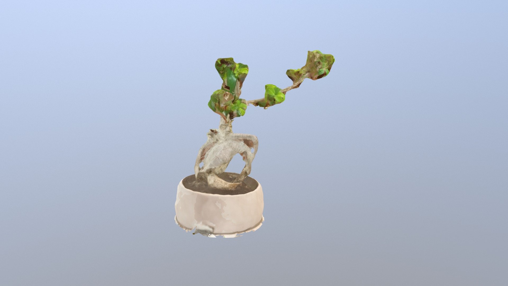 My cool 3D model from photos - 3D model by fienchenlumpi [0917af7 ...
