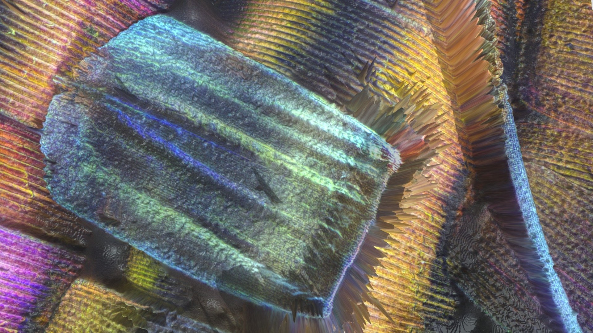 Sunset moth 50x - 3D model by ADi (@AD-i) [0919efc] - Sketchfab