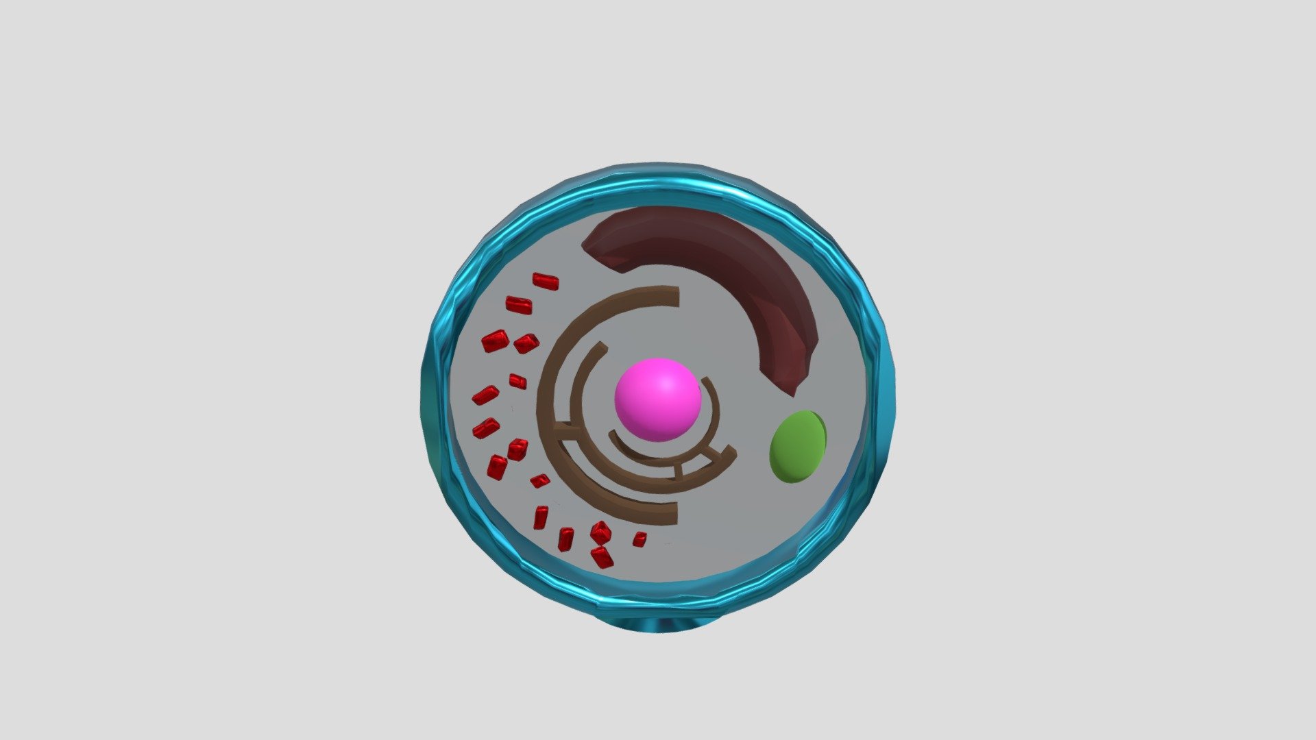 Quick Cell Model - Download Free 3D model by hhglpg [09255a5] - Sketchfab