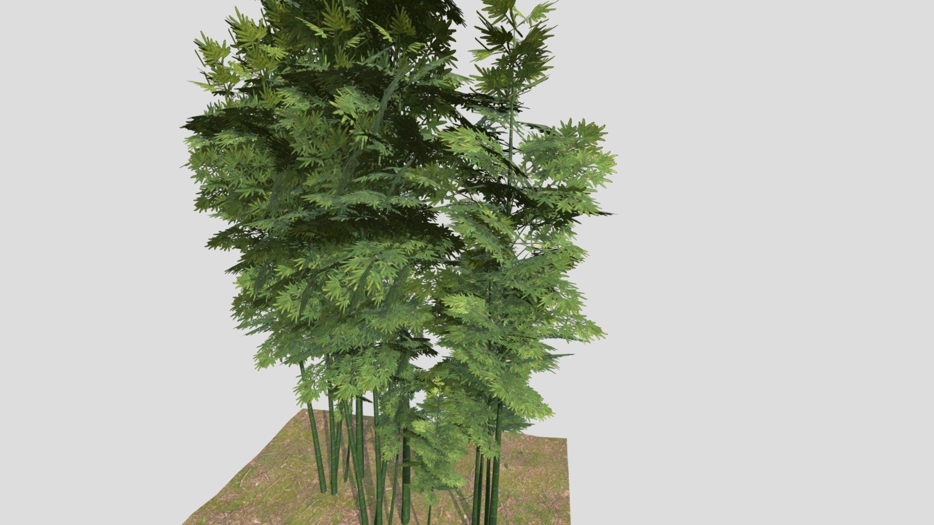 tree bamboo - 3D model by Anh.Tuan.Bui [092adb5] - Sketchfab