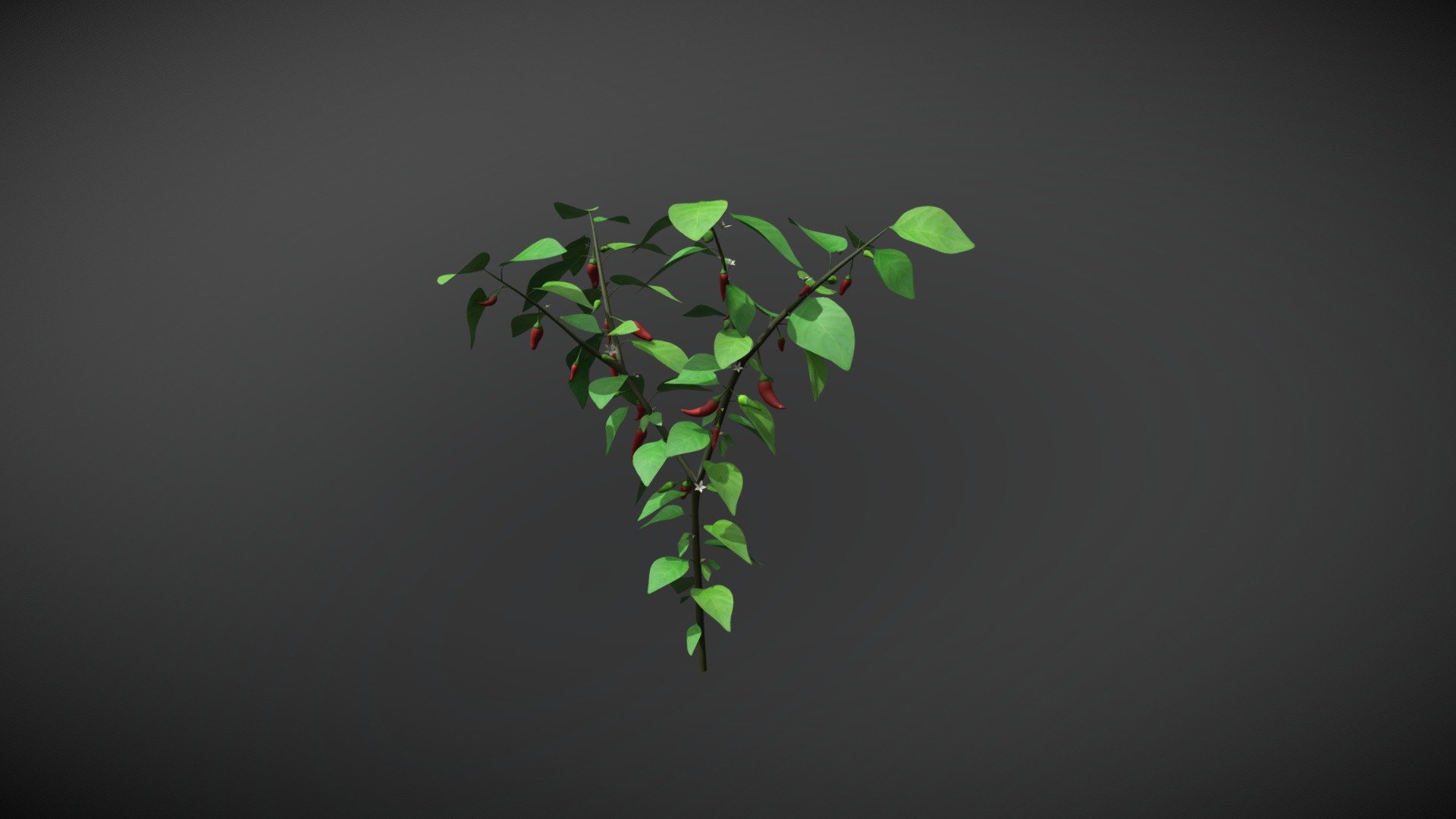 Chilli Stage4 - 3D model by vicvdovenko [0934f48] - Sketchfab