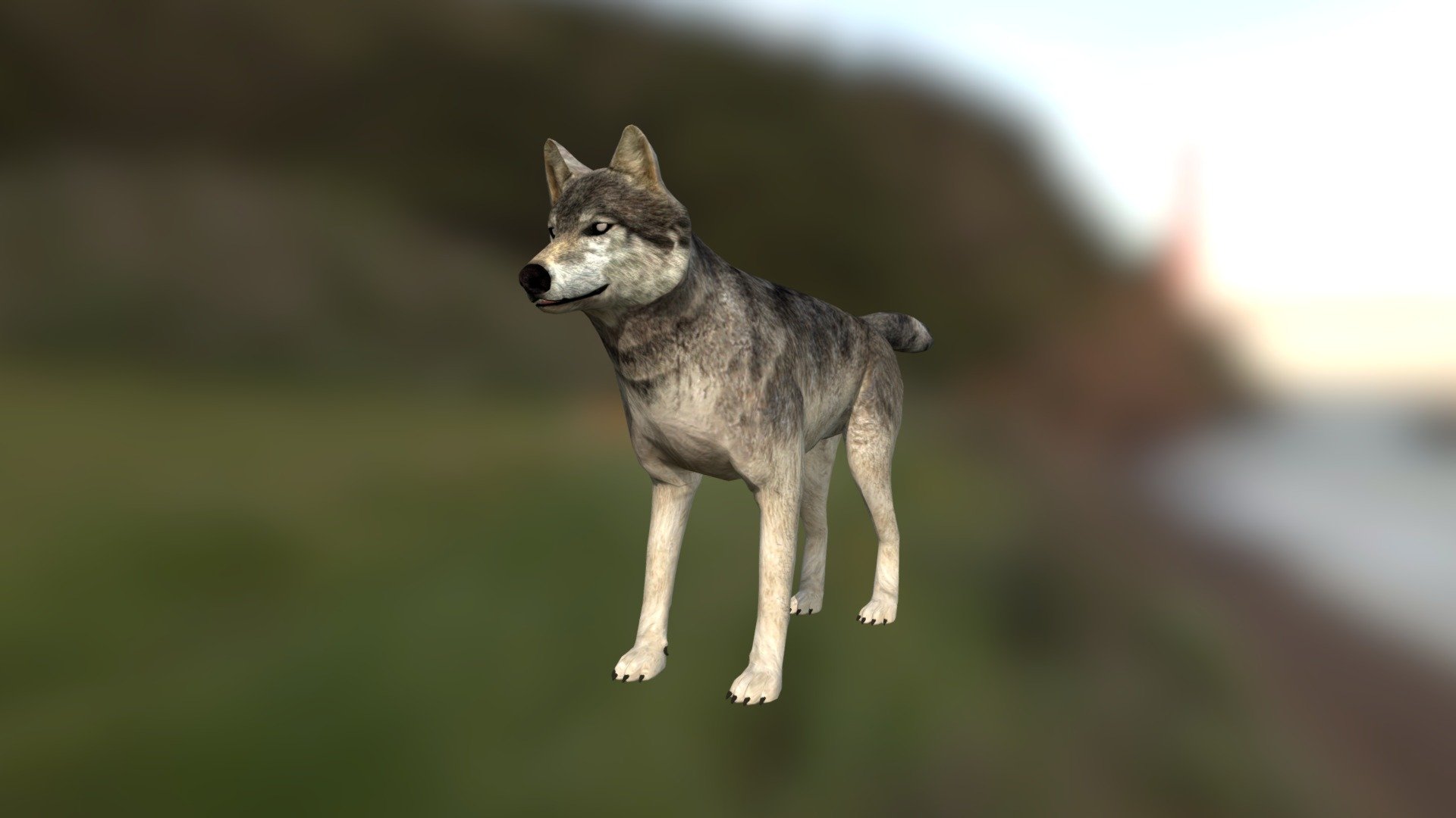 [Wolf Quest + Coats] Wolf - Download Free 3D model by Puppies4life ...