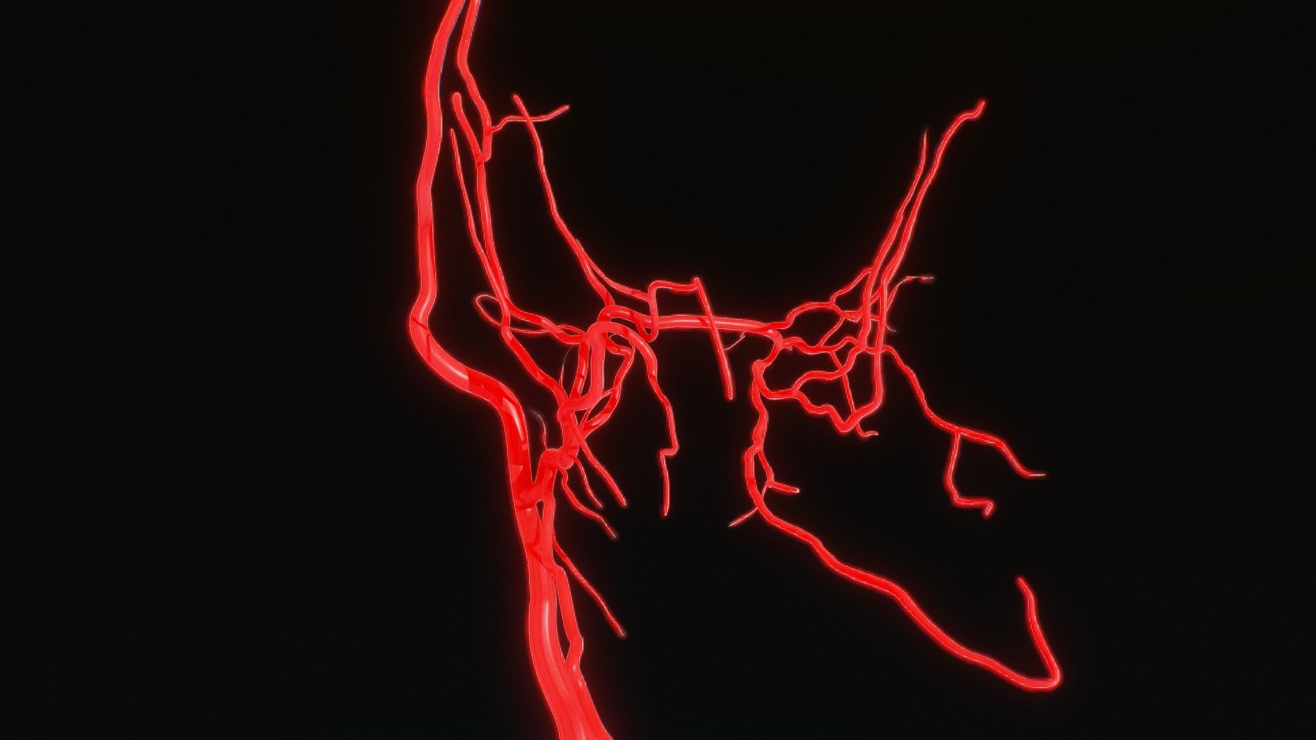 Branches of Maxillary Artery - 3D model by SBCVL_UCSF [0937284] - Sketchfab