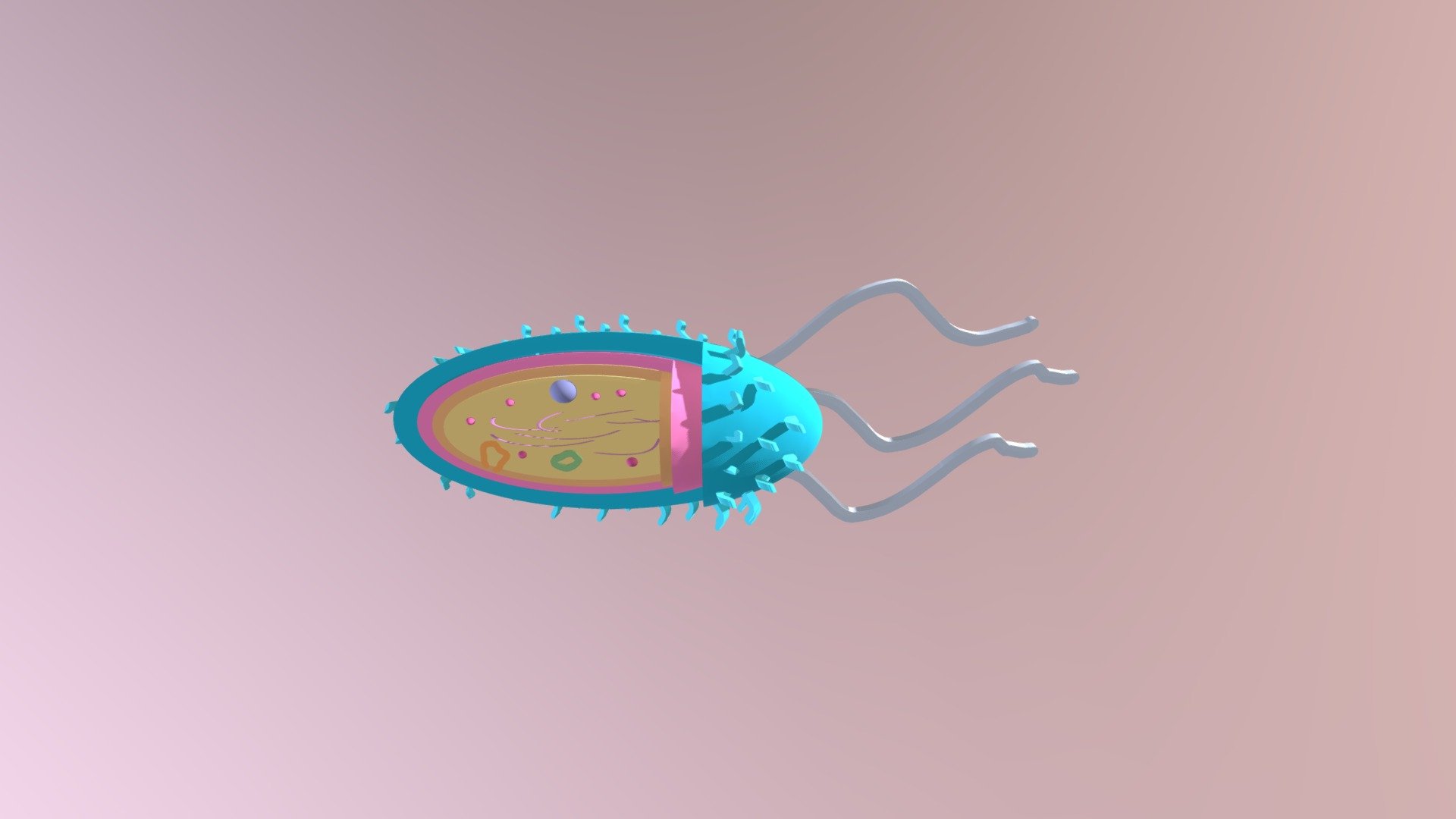 Microughs Salmonellatyphimurium JGM,FMF,ERD - 3D model by fabely715 ...