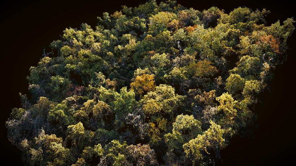 Pretty Landscape - A 3D model collection by Accalia - Sketchfab