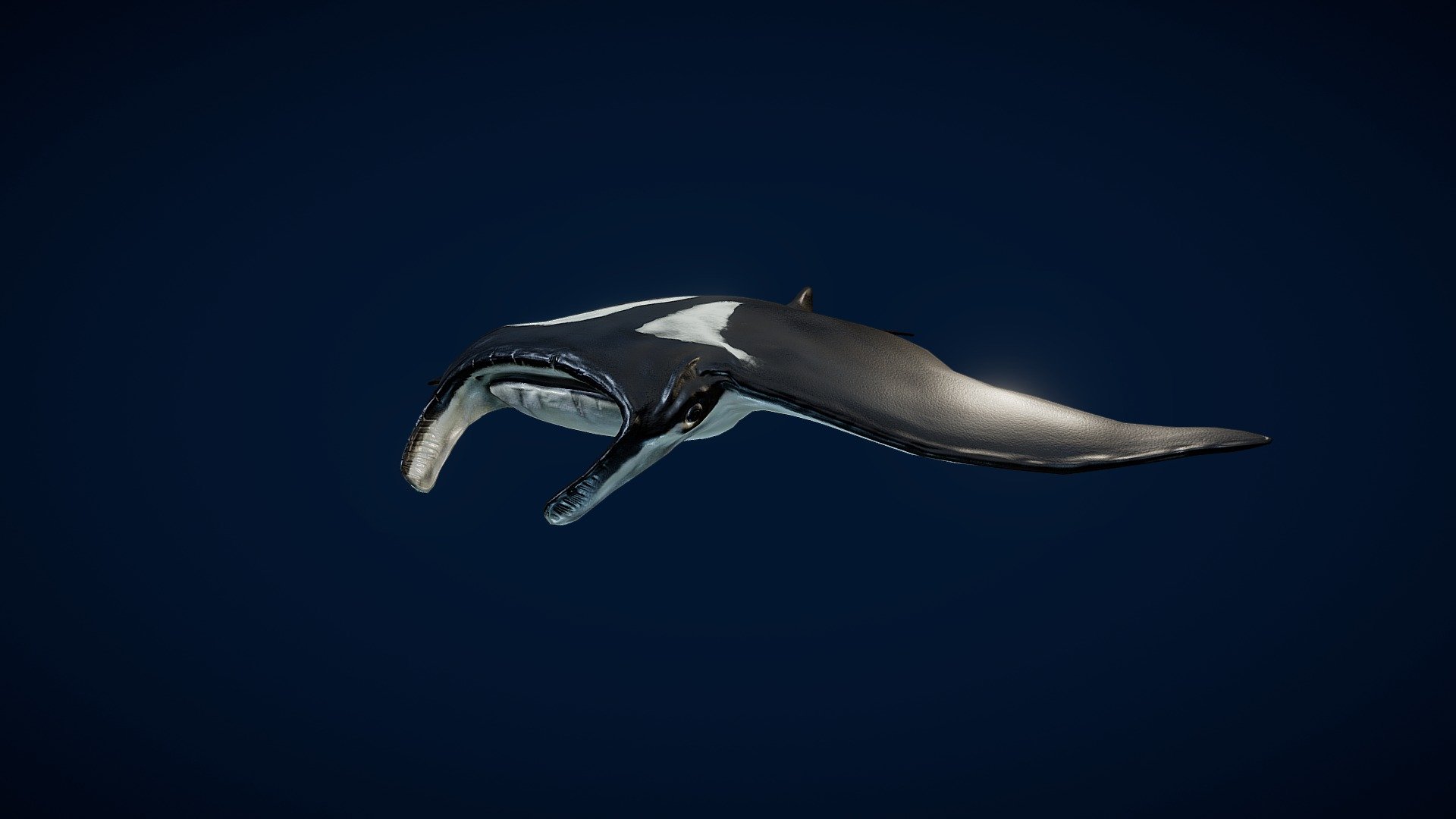 Manta Ray - Buy Royalty Free 3D model by JER3D (@jeremygo) [0946ad1 ...