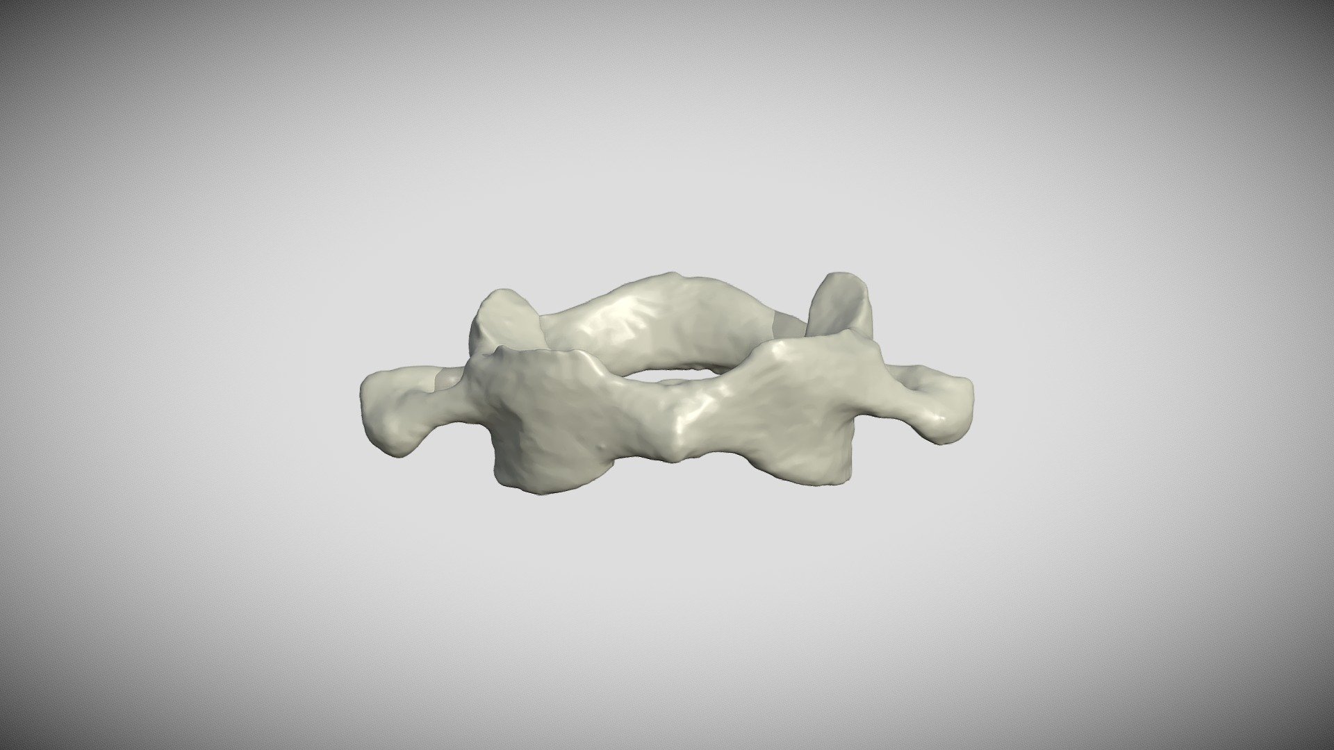 JAGAKE C1 Vertebra - Download Free 3D model by jagake [0947a39] - Sketchfab