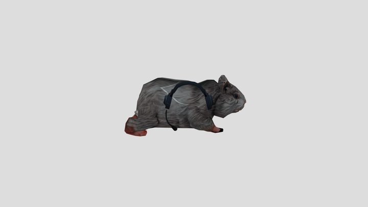Hamster 3D models - Sketchfab