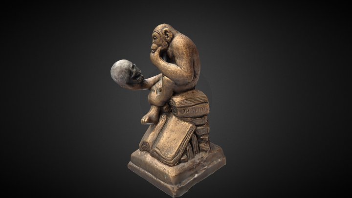 Monkey 3D models - Sketchfab