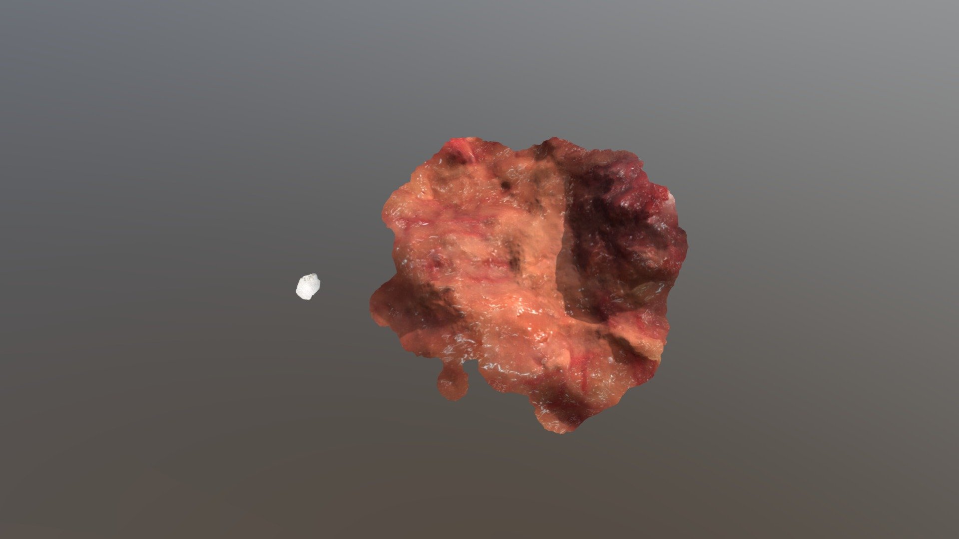 Flesh Lump Expansion - Download Free 3D model by catherinesmollett ...