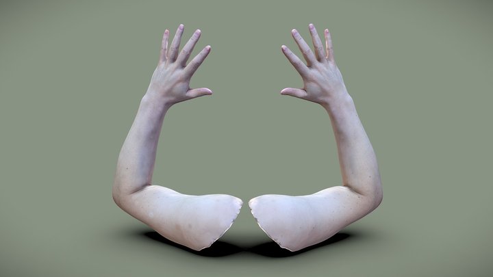 Male-arm 3D models - Sketchfab