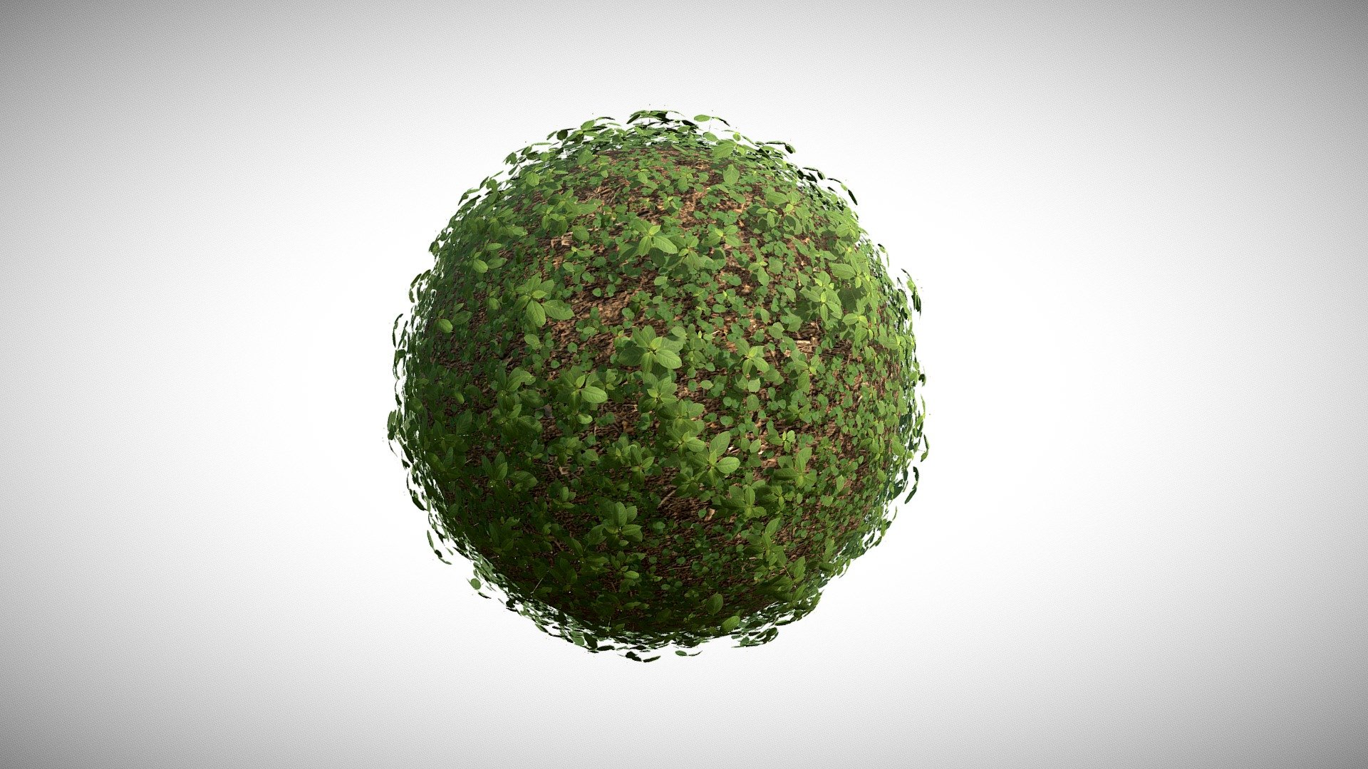 Ground Cover Pack Teaser - 3D model by blattwerk [0955b58] - Sketchfab