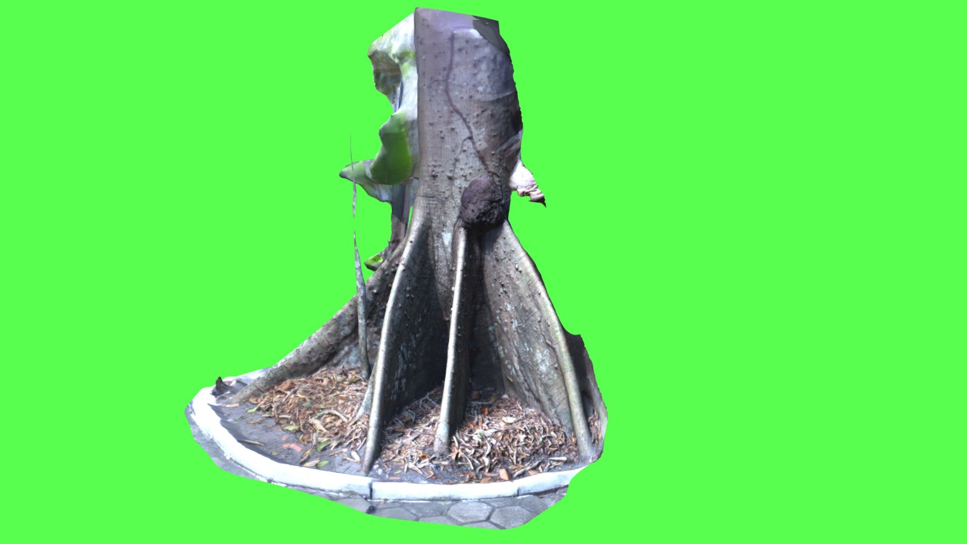 Raízes da Samauma (Samauma tree roots) - 3D model by Equipe B ...