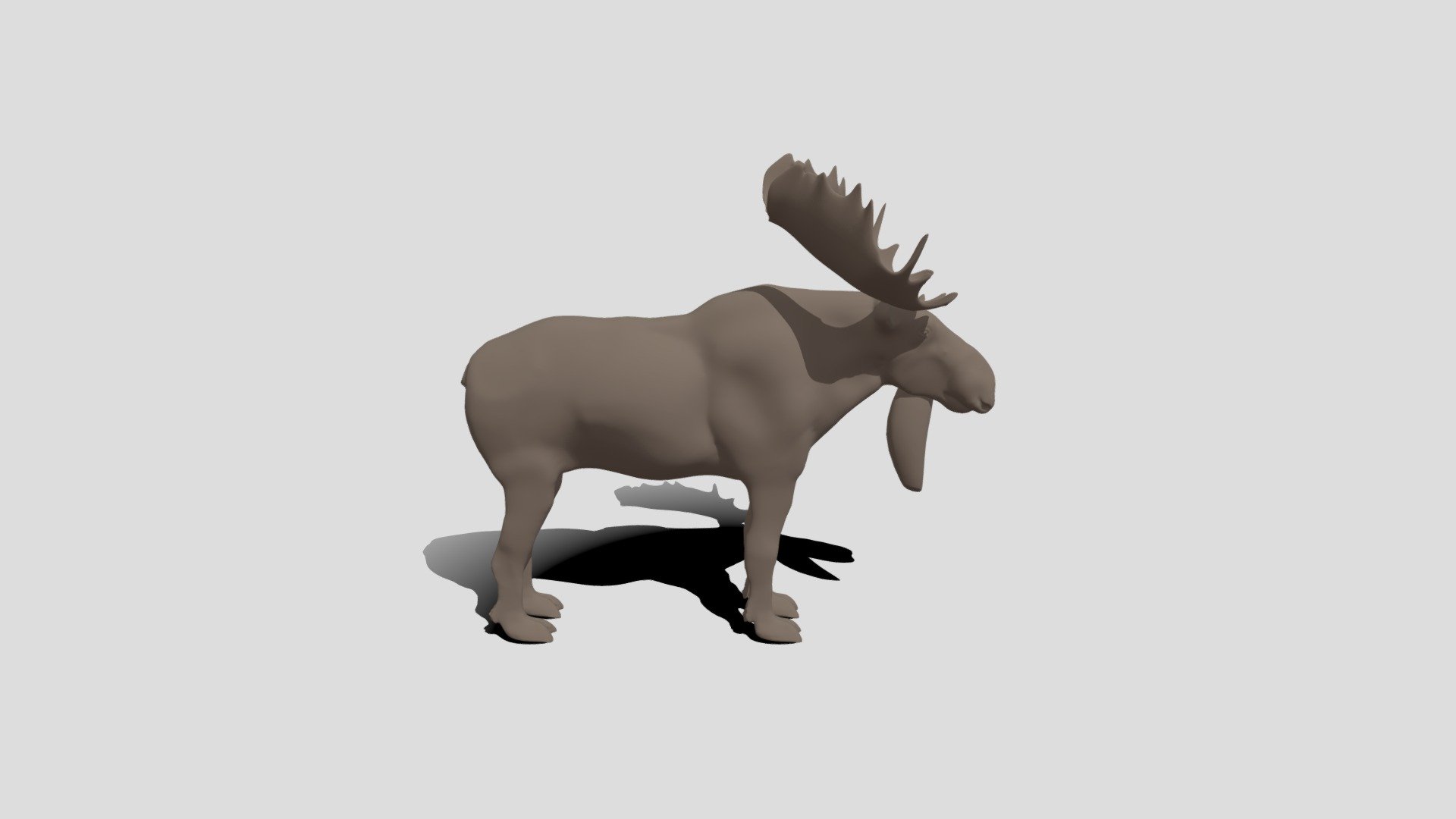 Anatomical moose study - 3D model by Strigops [096e0c8] - Sketchfab