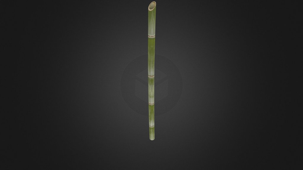 BamBOO - A 3D model collection by CallMeNick - Sketchfab