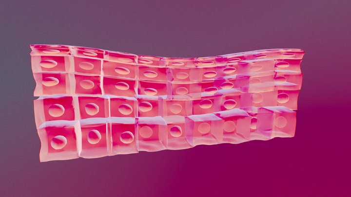 Epithelium 3D models - Sketchfab