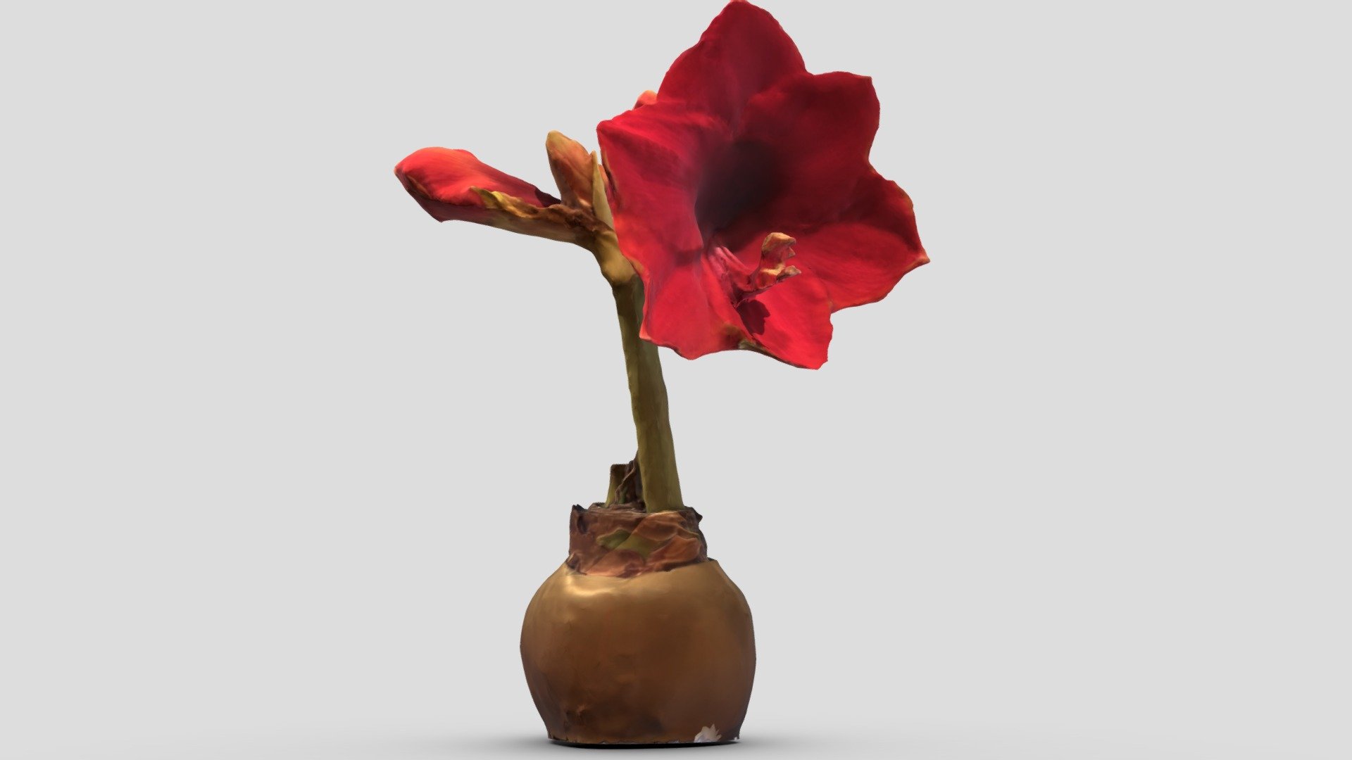 FREE >> Flowering Bulb - Download Free 3D model by GrrHero [098a365 ...