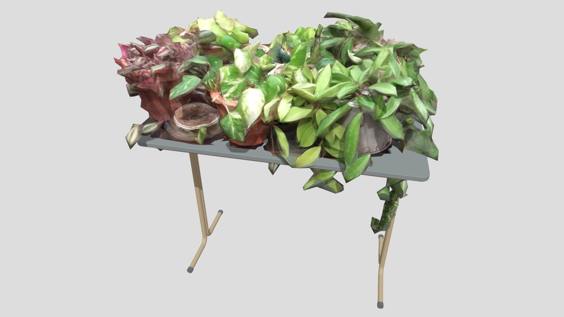 Pot Plants on Table - Download Free 3D model by 3DWALKABOUT [098c921 ...