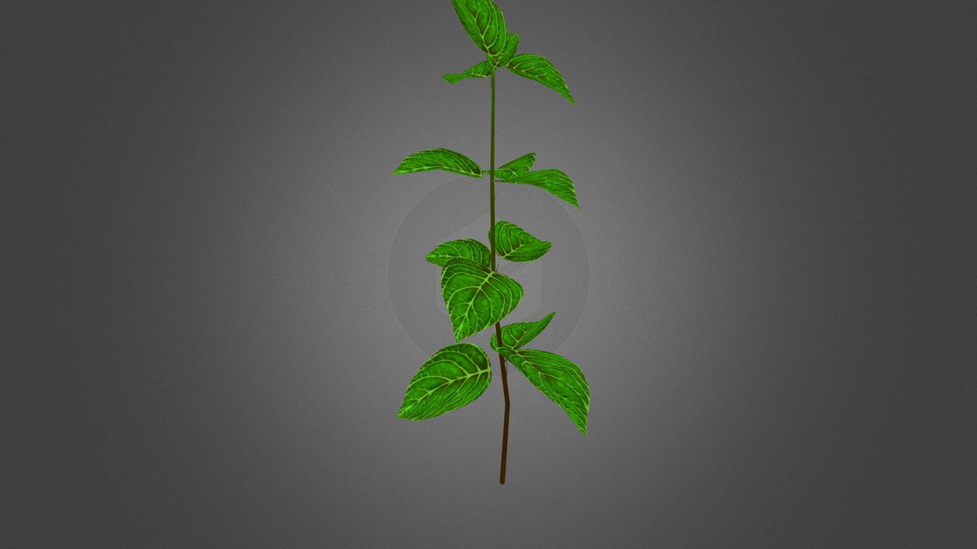 Plant 01 - 3D model by conniefu [098d06b] - Sketchfab