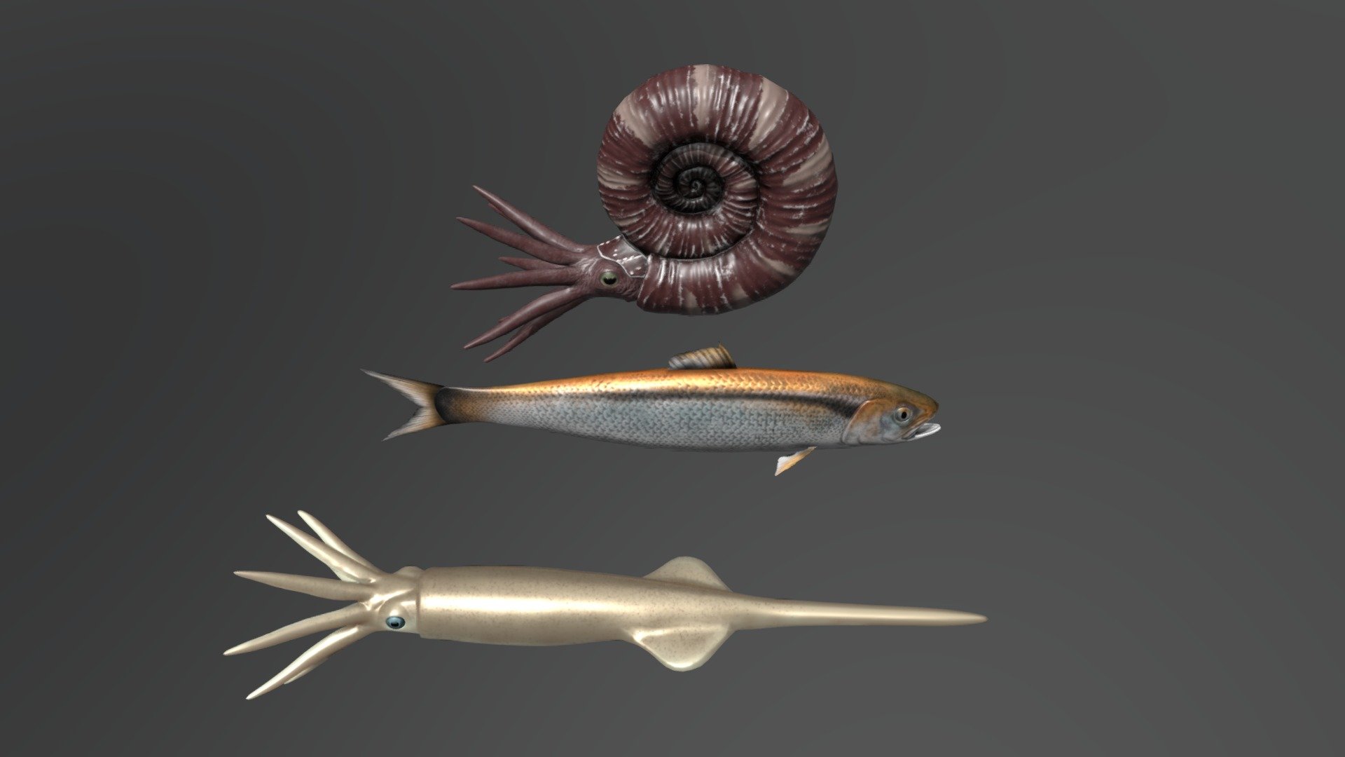 Prehistoric Sea Background Assets - 3D model by Oakyere [098e975 ...