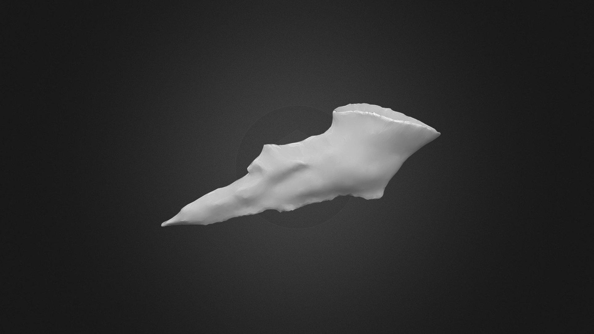 Human Vomer - 3D model by franc1x [0997741] - Sketchfab