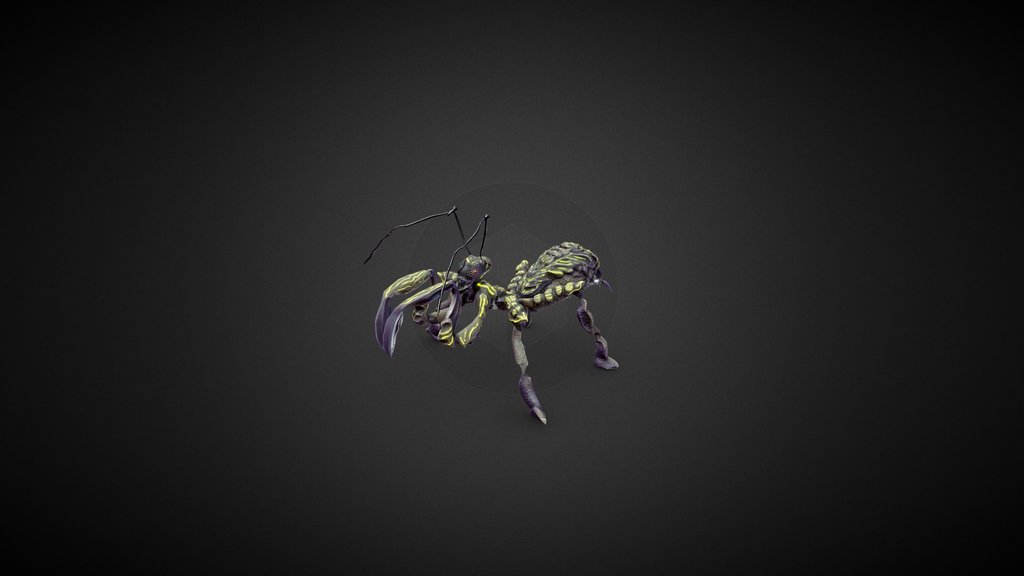 insect - A 3D model collection by suniltelistr - Sketchfab