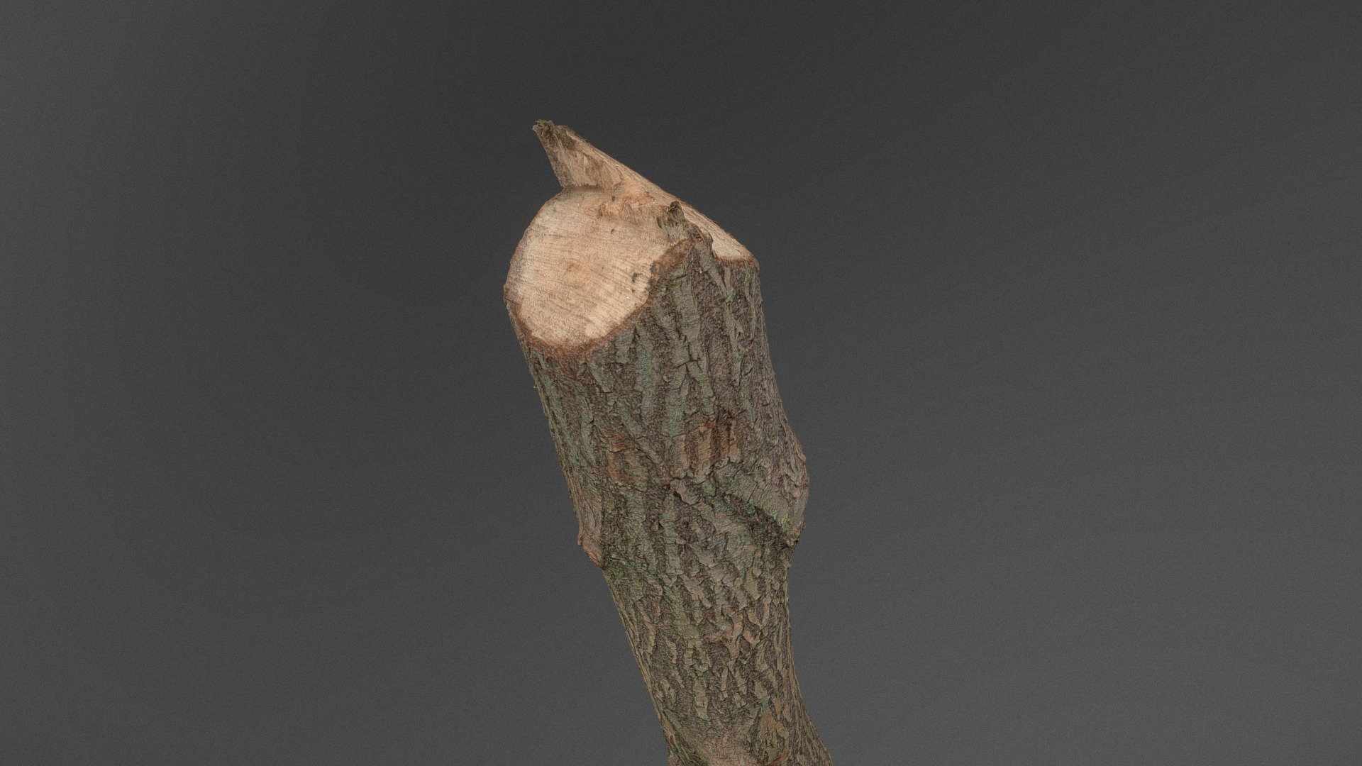 Willow log palisade - Buy Royalty Free 3D model by matousekfoto ...