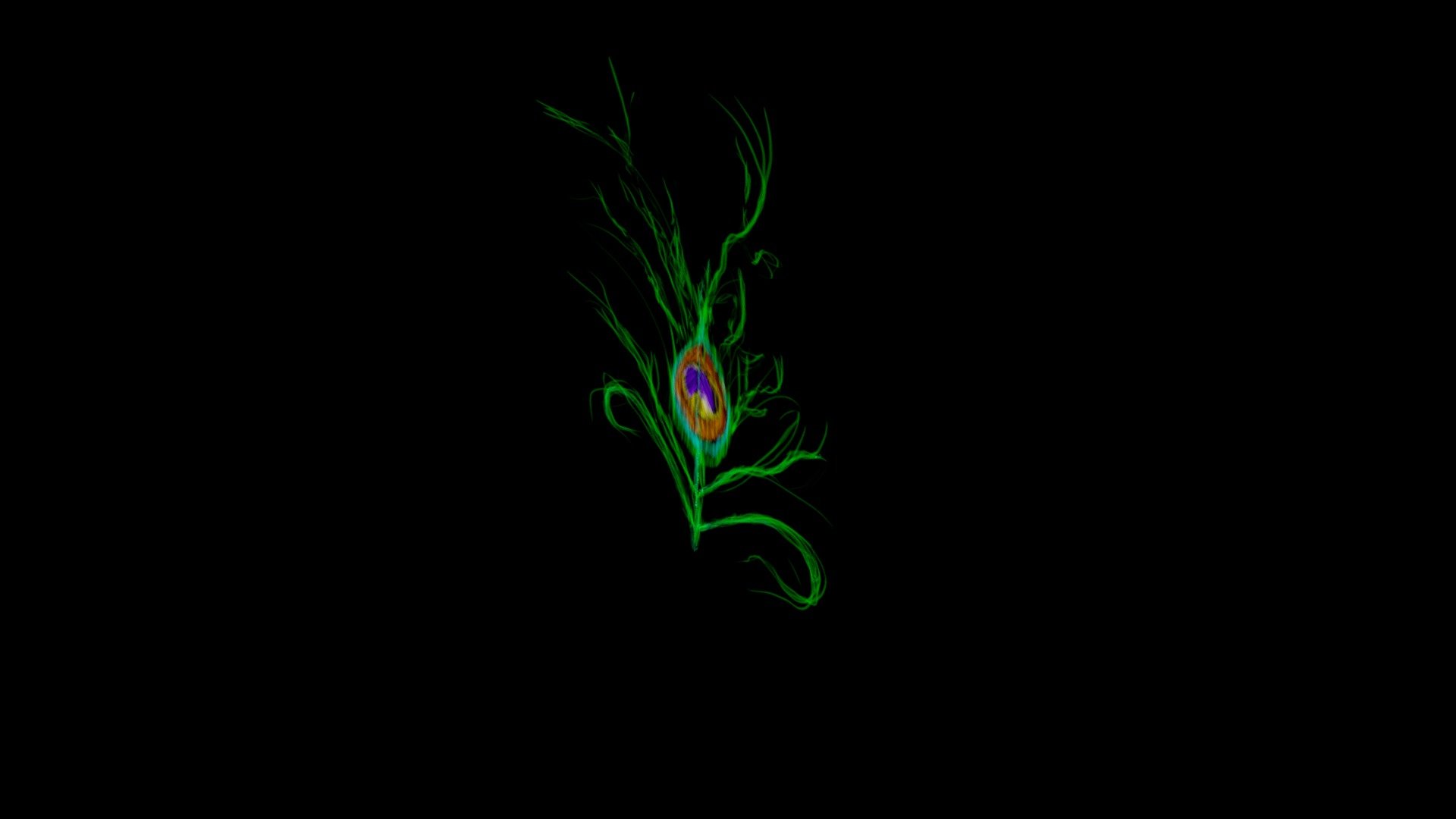Abstract Peacock Feather - Download Free 3D model by kabage [09a120e ...